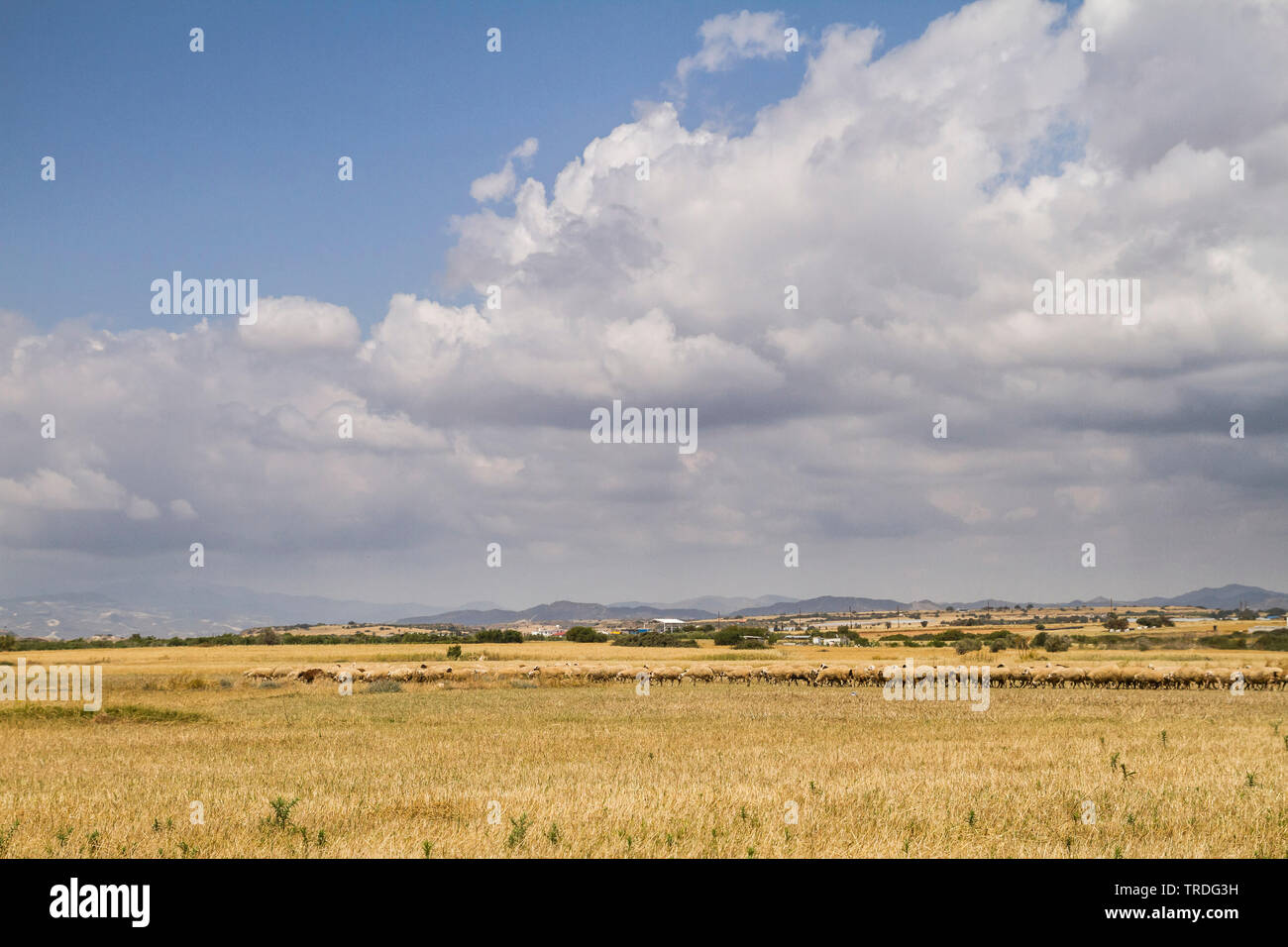 landscape on Cyprus, Cyprus Stock Photo - Alamy