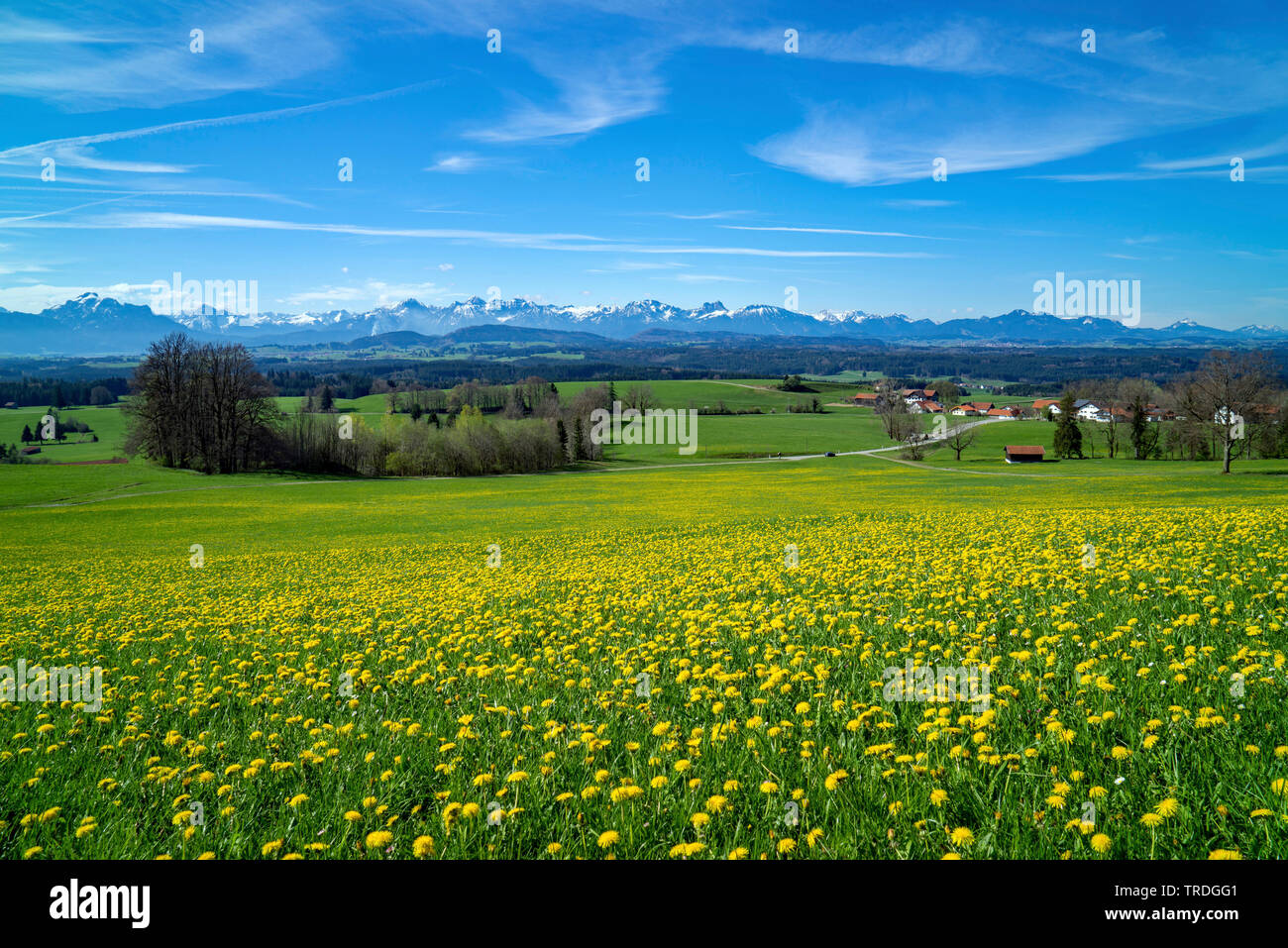 Bavarian southern bavaria hi-res stock photography and images - Alamy