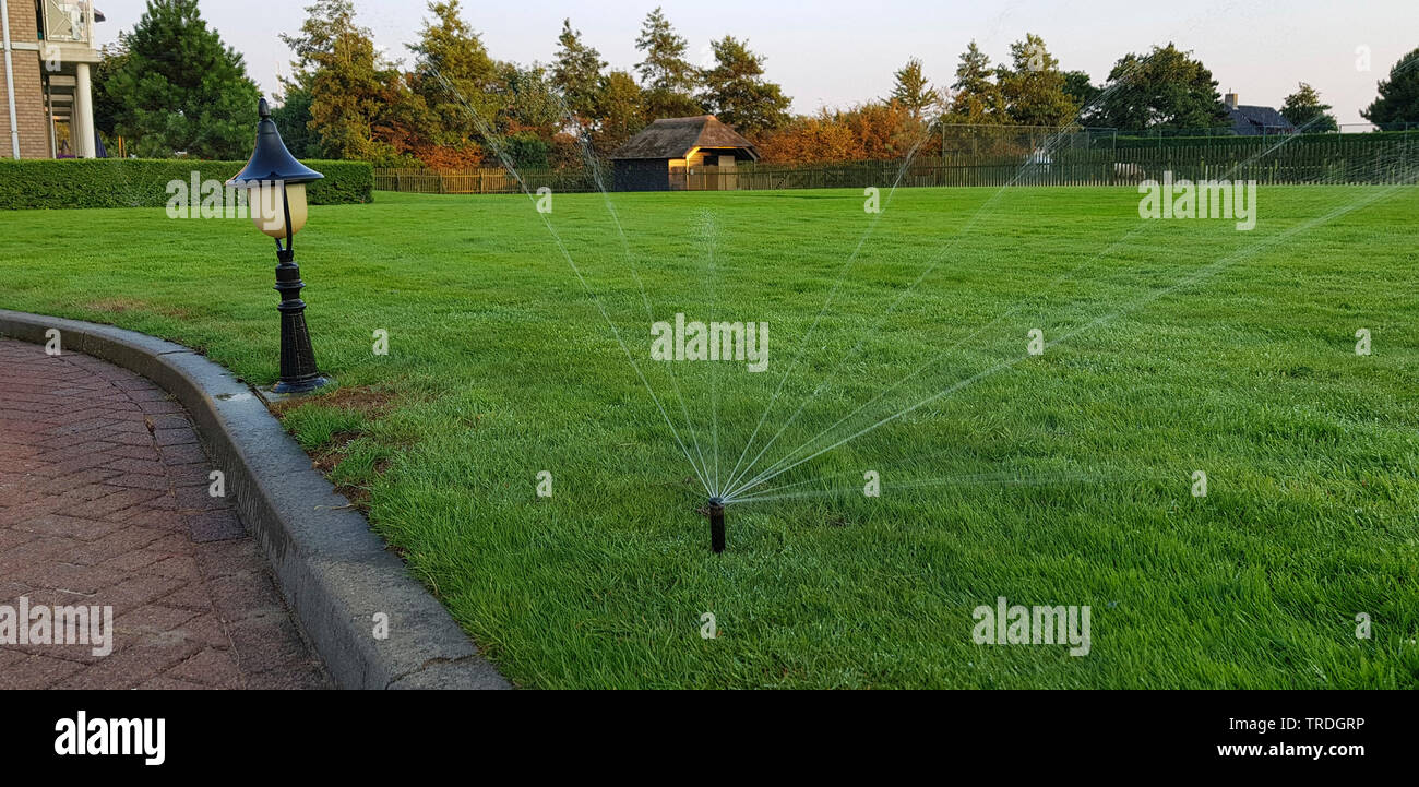 Water sprinkler in park waters hi-res stock photography and images - Alamy
