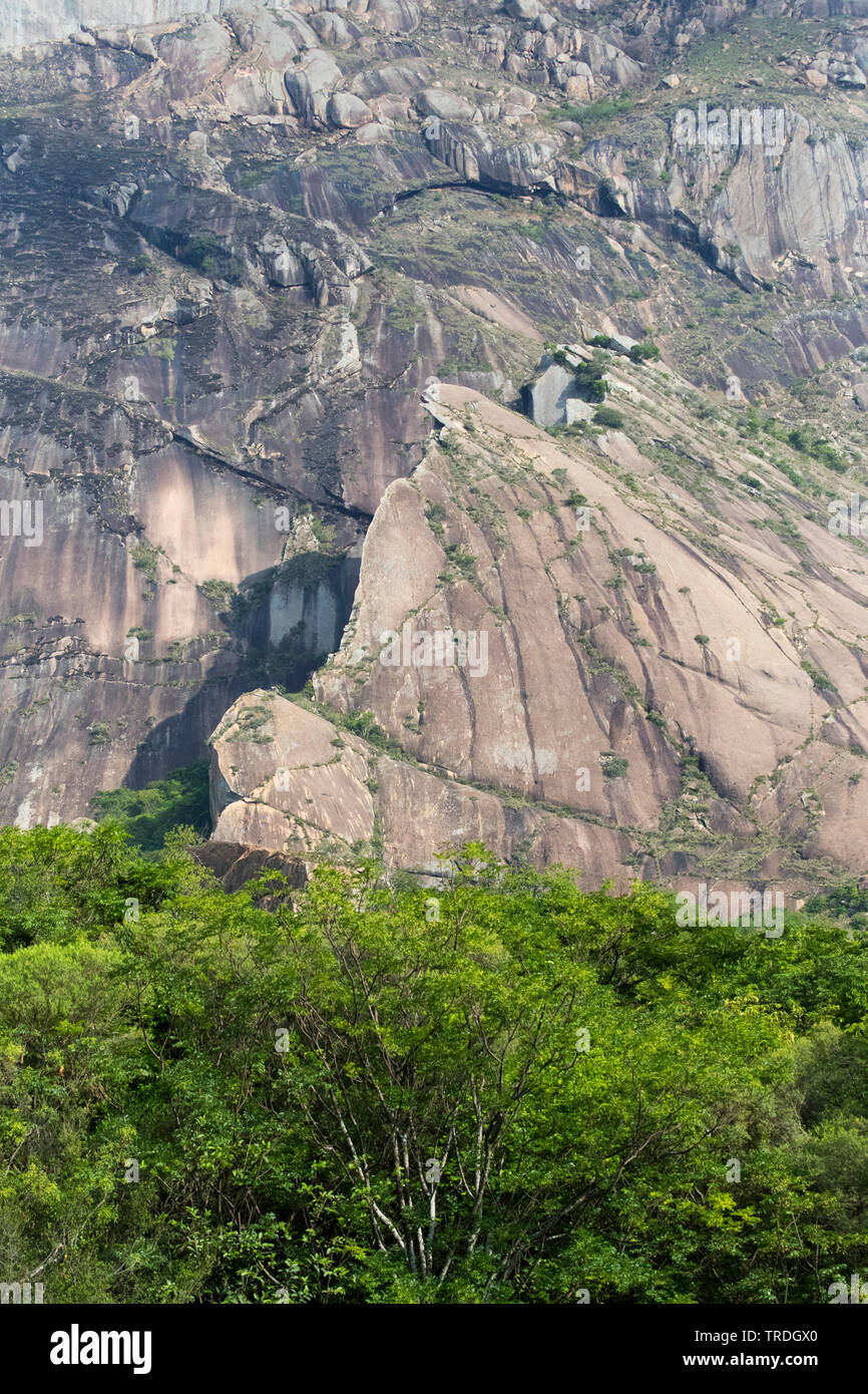 Anja park hi-res stock photography and images - Alamy