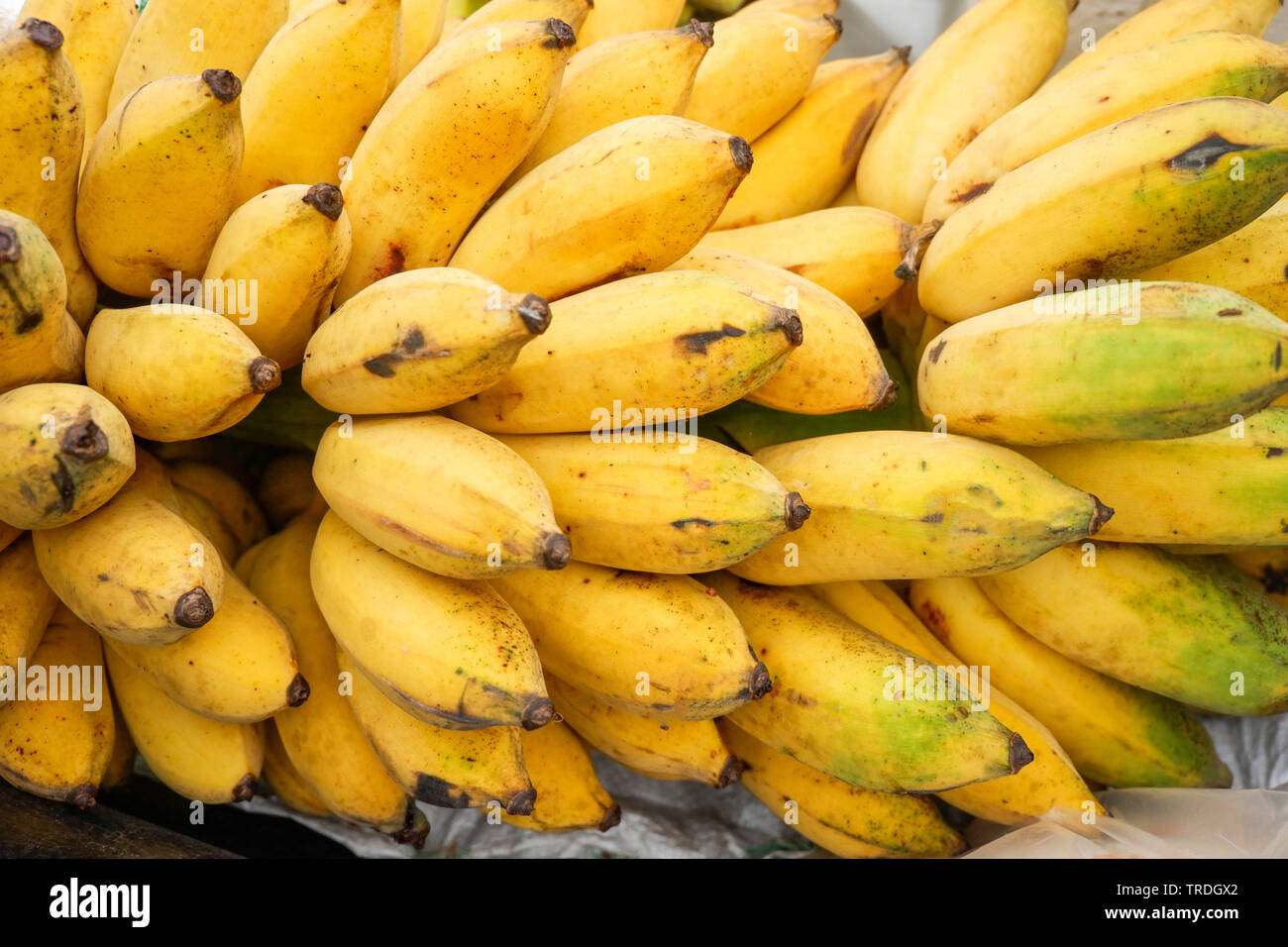 Close up banana fruit / Bunch of ripe bananas texture background Stock ...