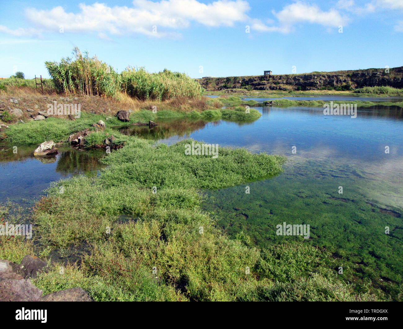 quarry Cabo de Praia quarry, Portugal, Azores, Terceira Stock Photo - Alamy