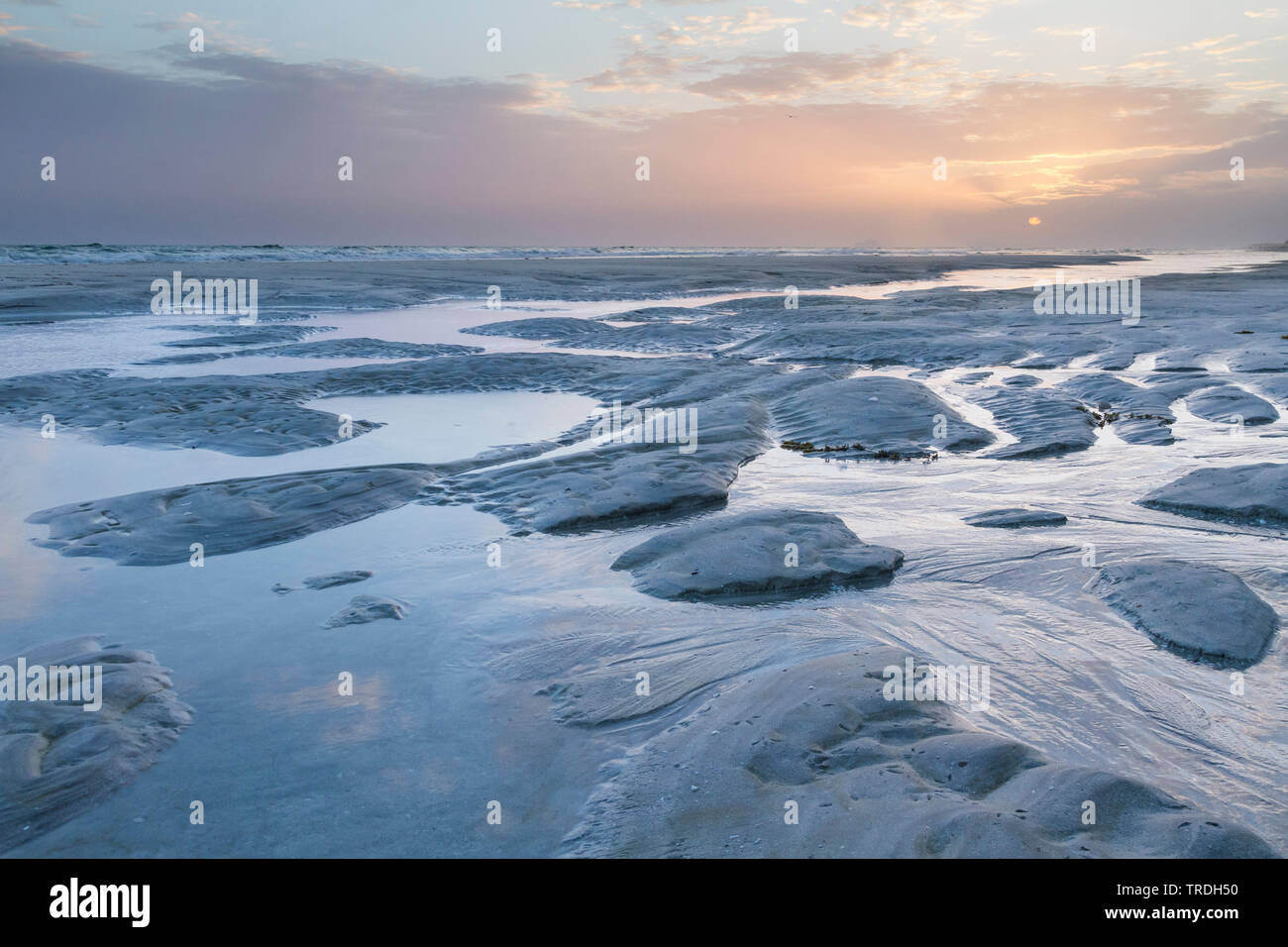 Beach in Oman at sunset, Oman Stock Photo - Alamy