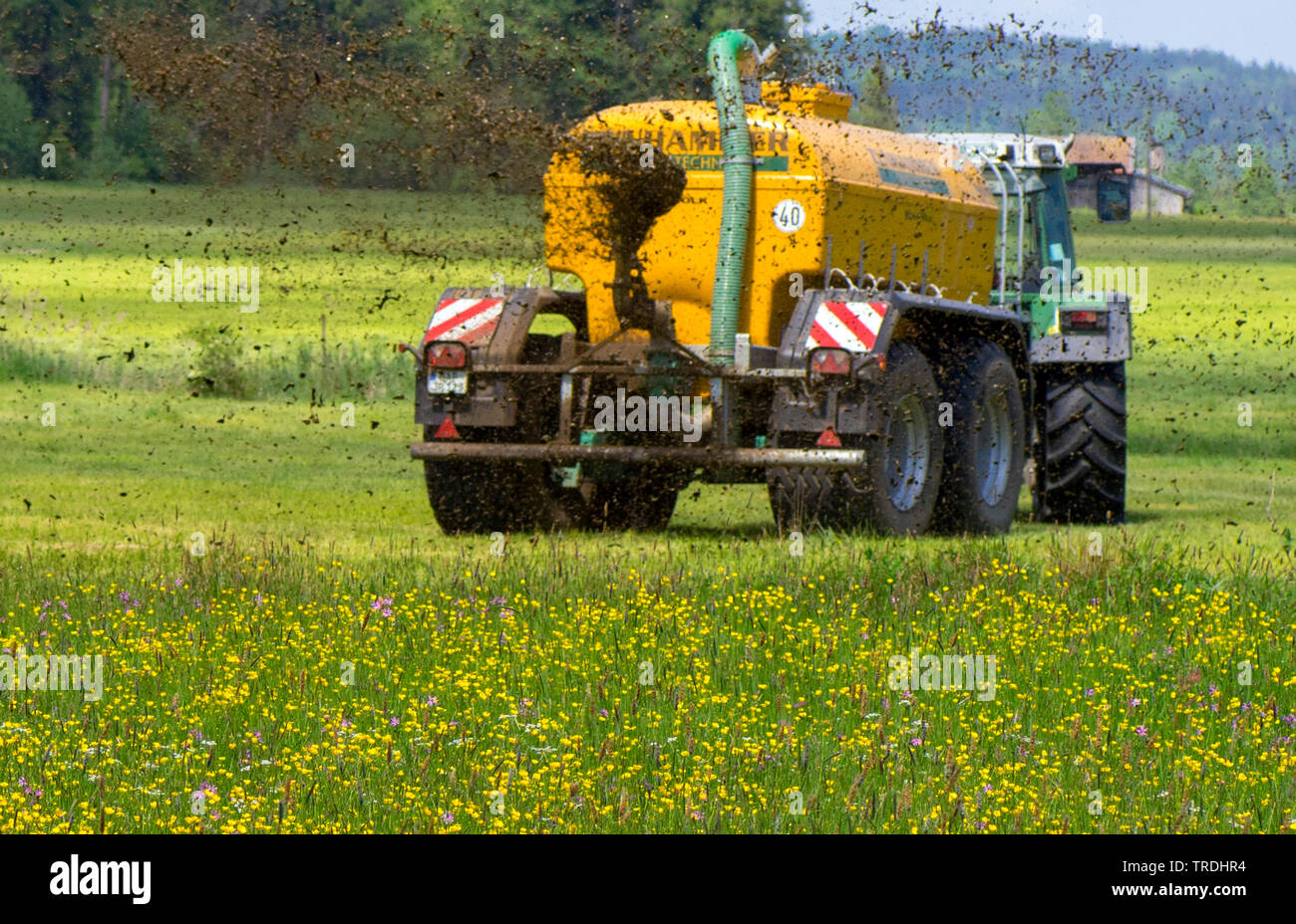 liquid manure trailer, Germany, Bavaria, Murnauer Moos Stock Photo - Alamy