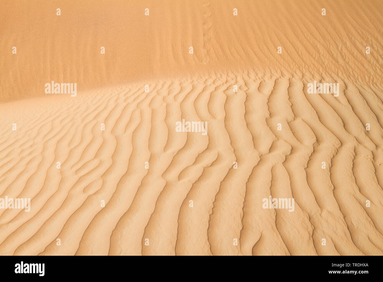 Ripple marks in desert hi-res stock photography and images - Alamy