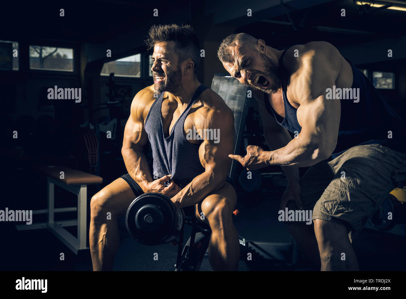 Two muscular men flexing biceps hi-res stock photography and images - Alamy