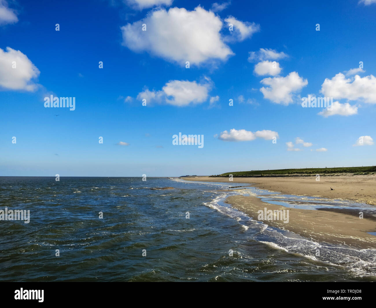 beach on Texel in late summer, Netherlands, Texel Stock Photo - Alamy