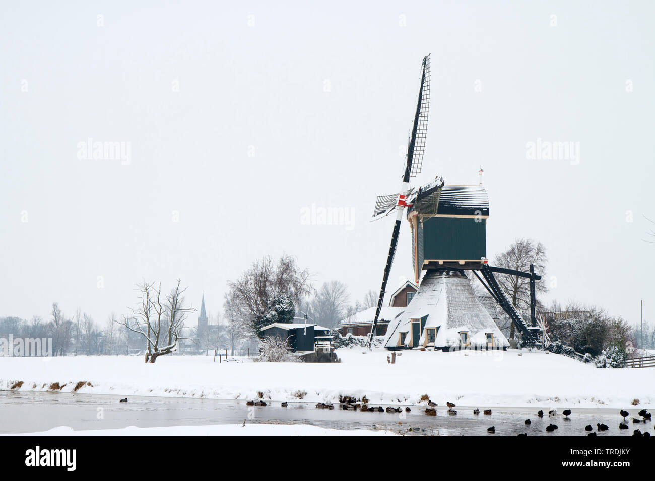 Utrecht netherlands snow hi-res stock photography and images - Alamy
