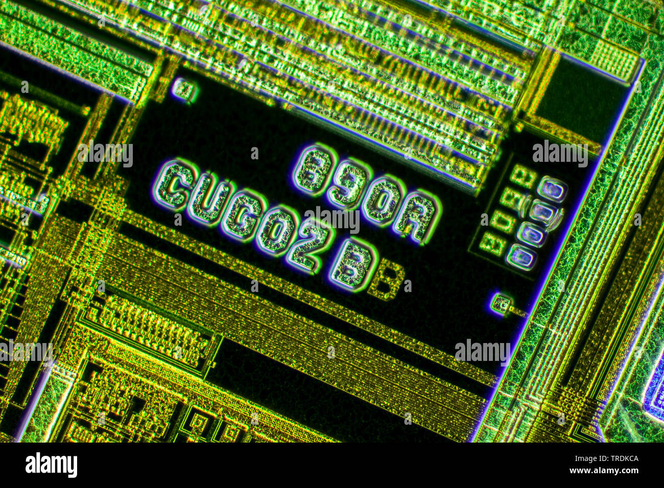 Semiconductor Chip