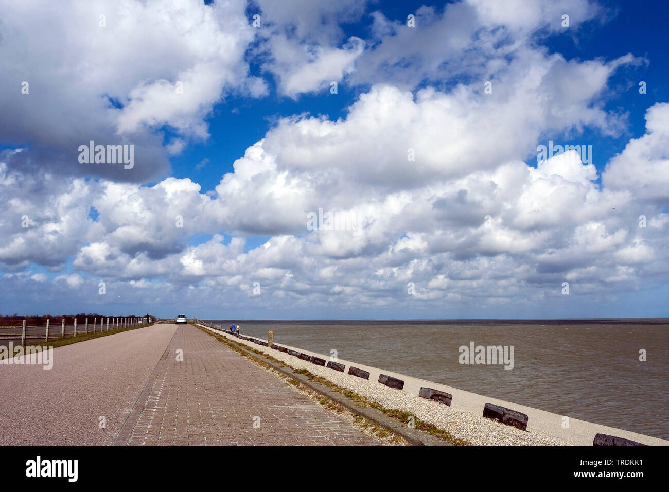 Dike at Texel in spring, Netherlands, Texel Stock Photo - Alamy