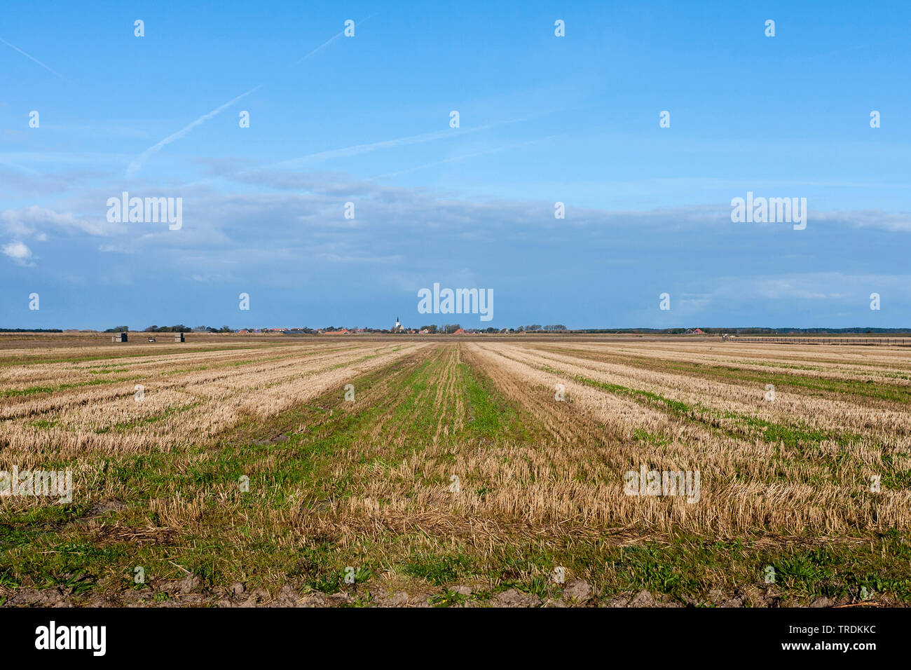 Stubble field cultivation hi-res stock photography and images - Alamy