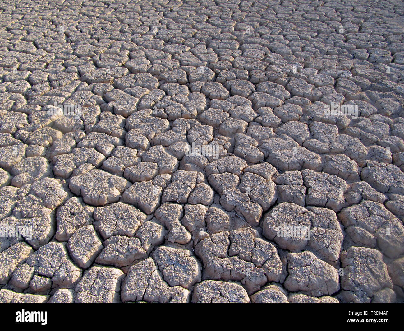 Drought Negev Israel High Resolution Stock Photography and Images - Alamy