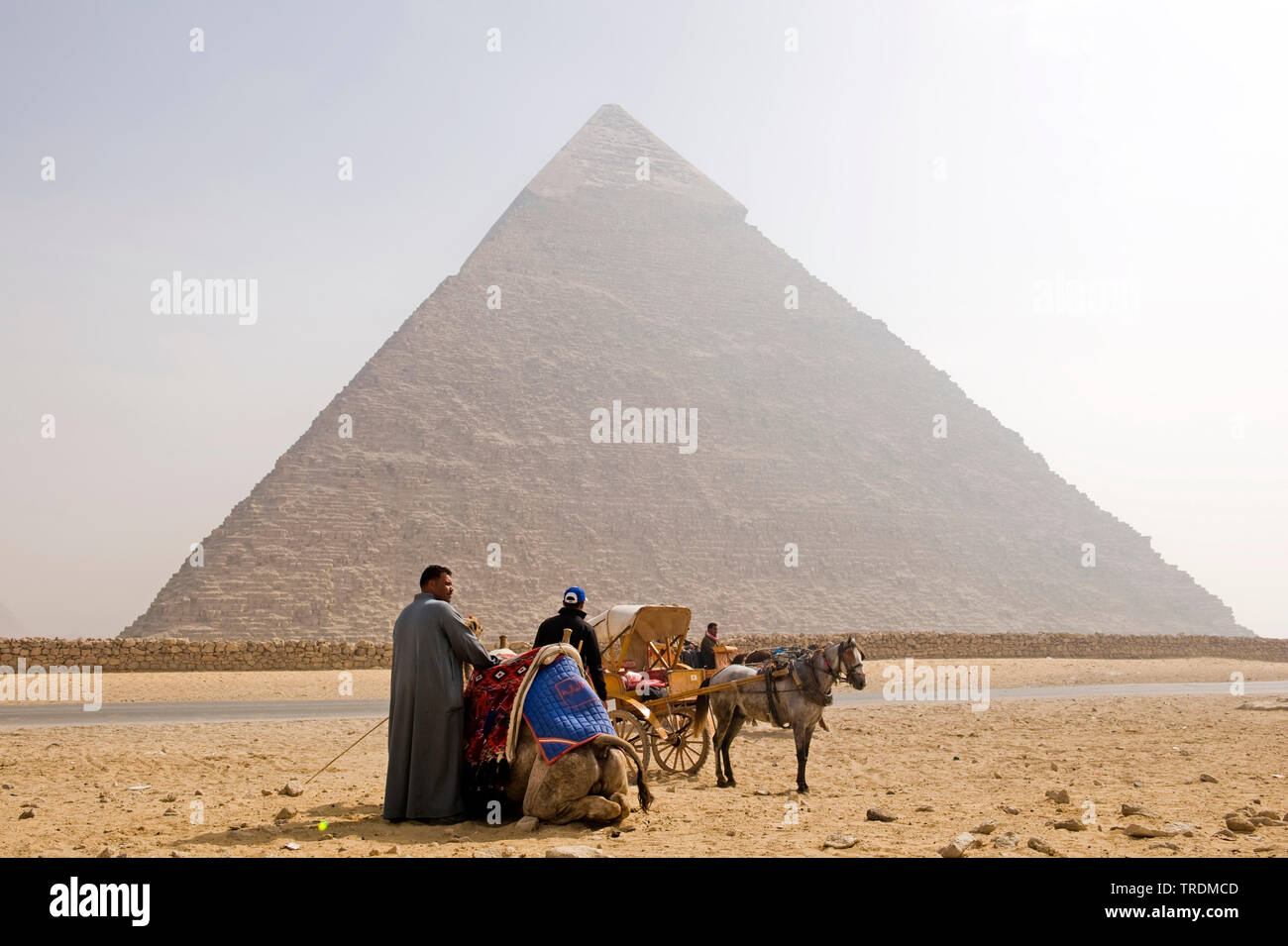 Pyramid of Gizeh, Egypt, Gizeh Stock Photo - Alamy