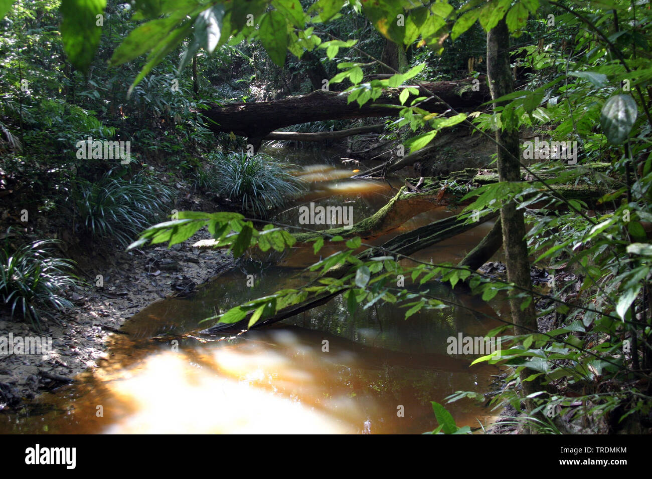 Indonesia Rivers High Resolution Stock Photography and Images - Alamy
