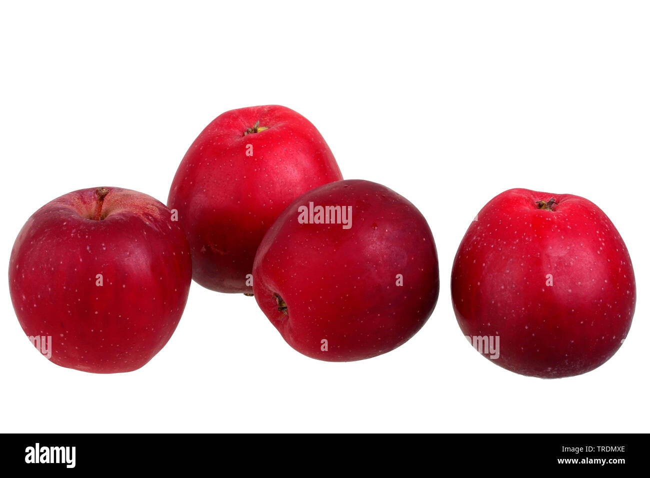 Neuer berner rosenapfel hi-res stock photography and images - Alamy