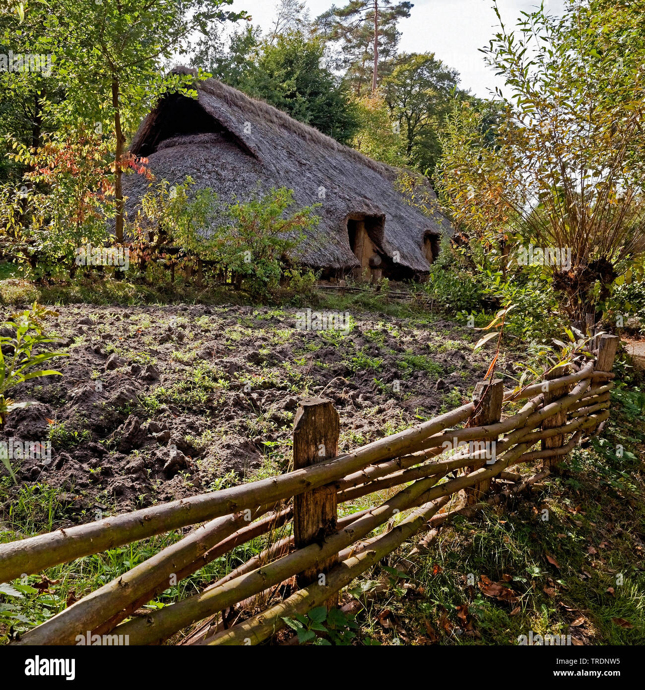 Bronze age house hi-res stock photography and images - Alamy