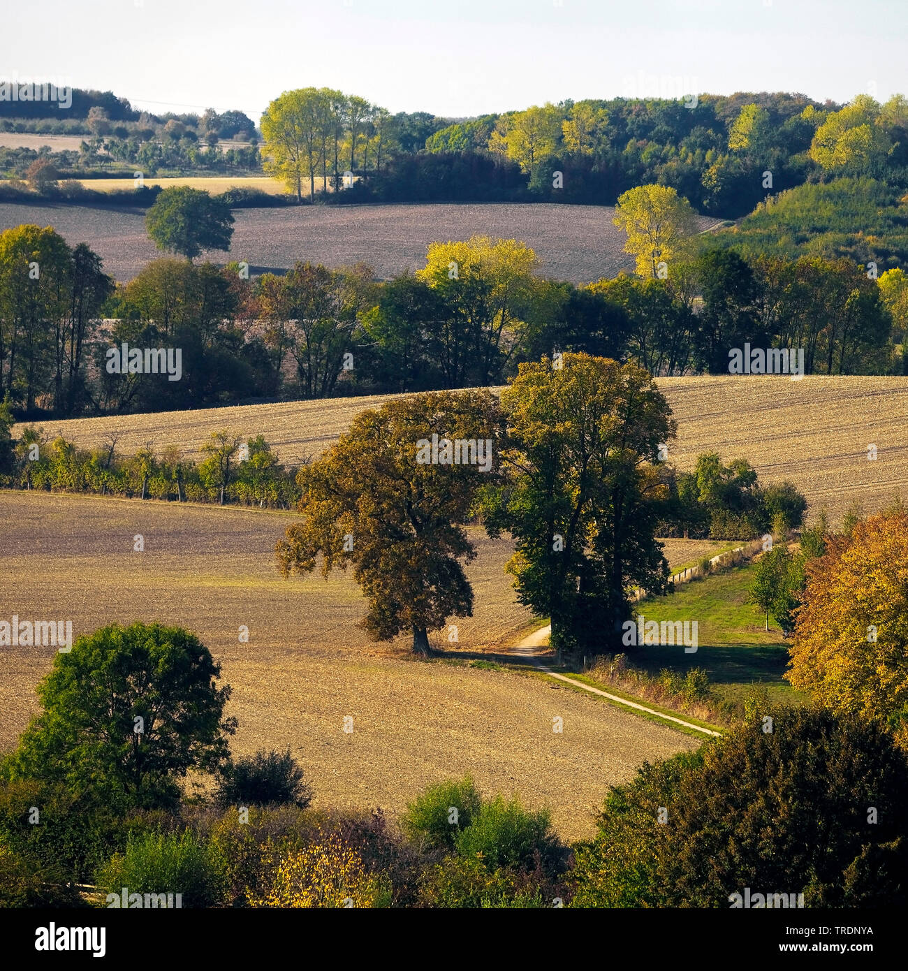 Oelde hi-res stock photography and images - Alamy