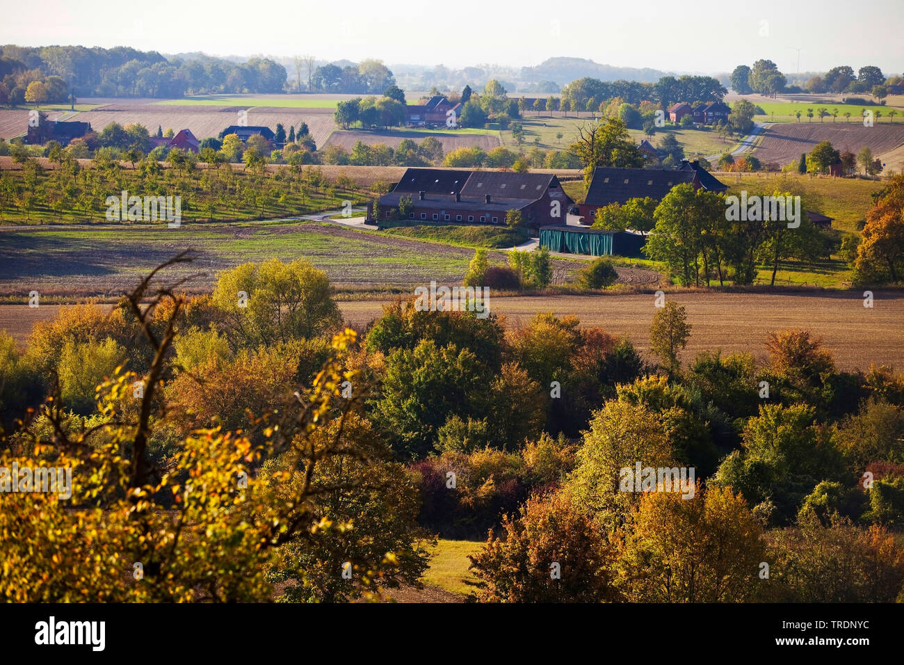 Oelde hi-res stock photography and images - Alamy