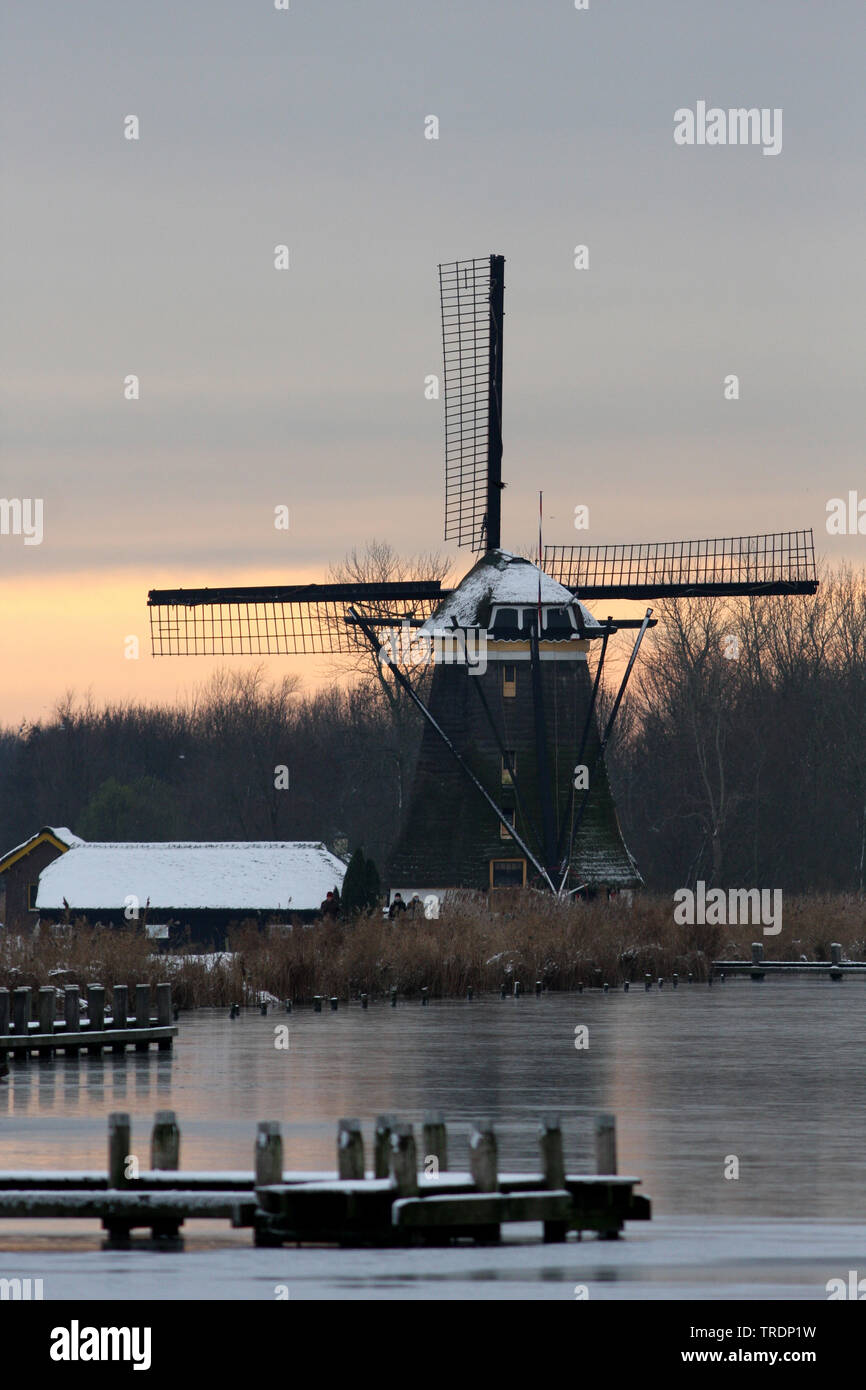 Dutch winter landscape windmills hi-res stock photography and images ...