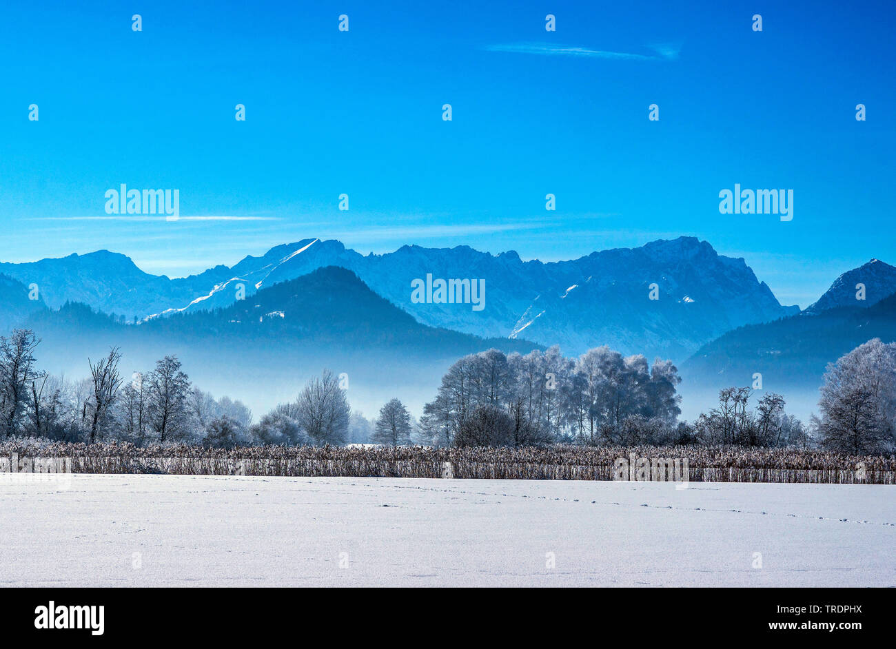 Murnauer Moos and Wetterstein mountains in winter, Germany, Bavaria ...