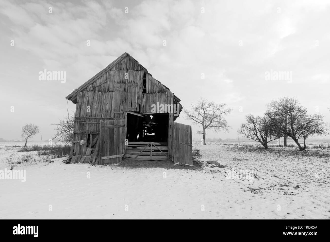 Winter landscape with barn in black and white, Hungary Stock Photo - Alamy