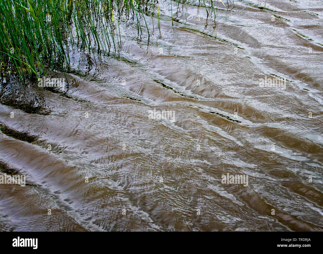 SCIENCE, PPHYSICS, WAVES. The wind created water waves and small ...