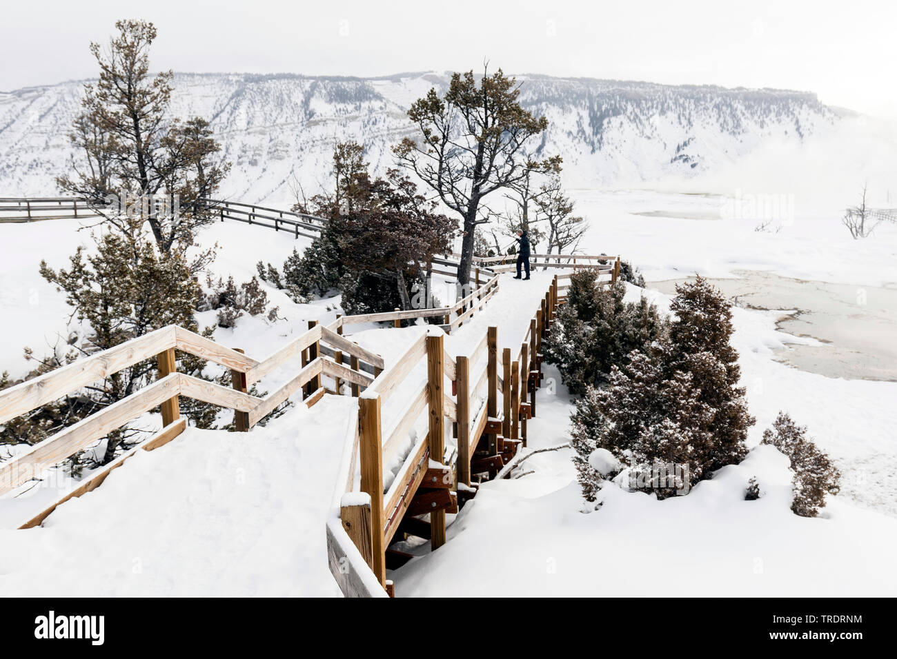 Walk walks path paths united states of america spring hi-res stock ...