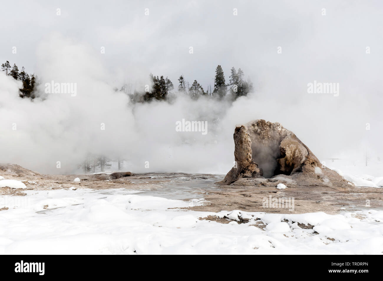 Geyser yellowstone snow hi-res stock photography and images - Alamy