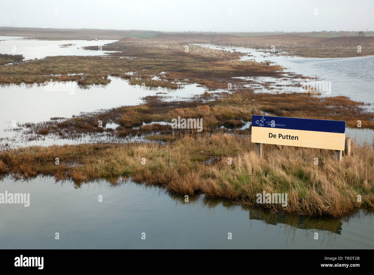 wetland De Putten, Netherlands, Northern Netherlands, Camperduin Stock ...