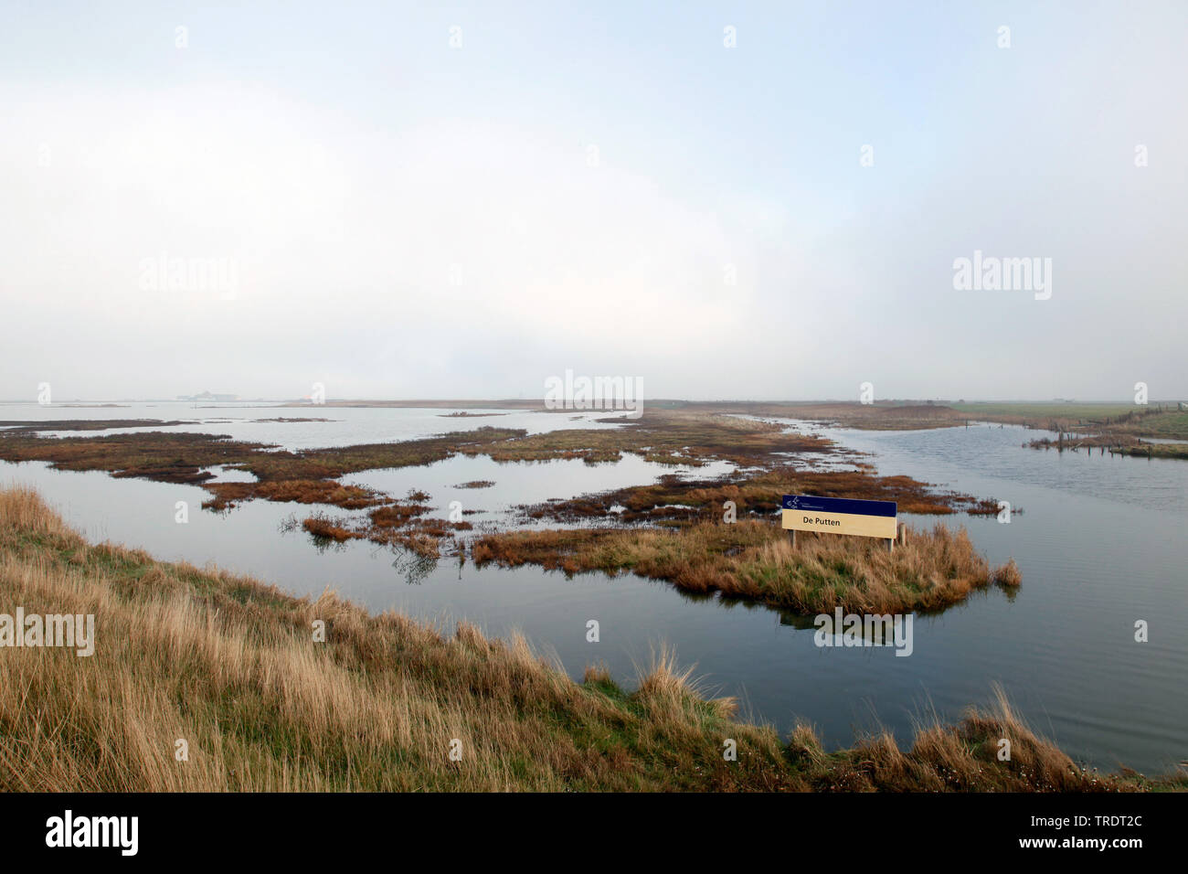 wetland De Putten, Netherlands, Northern Netherlands, Camperduin Stock ...