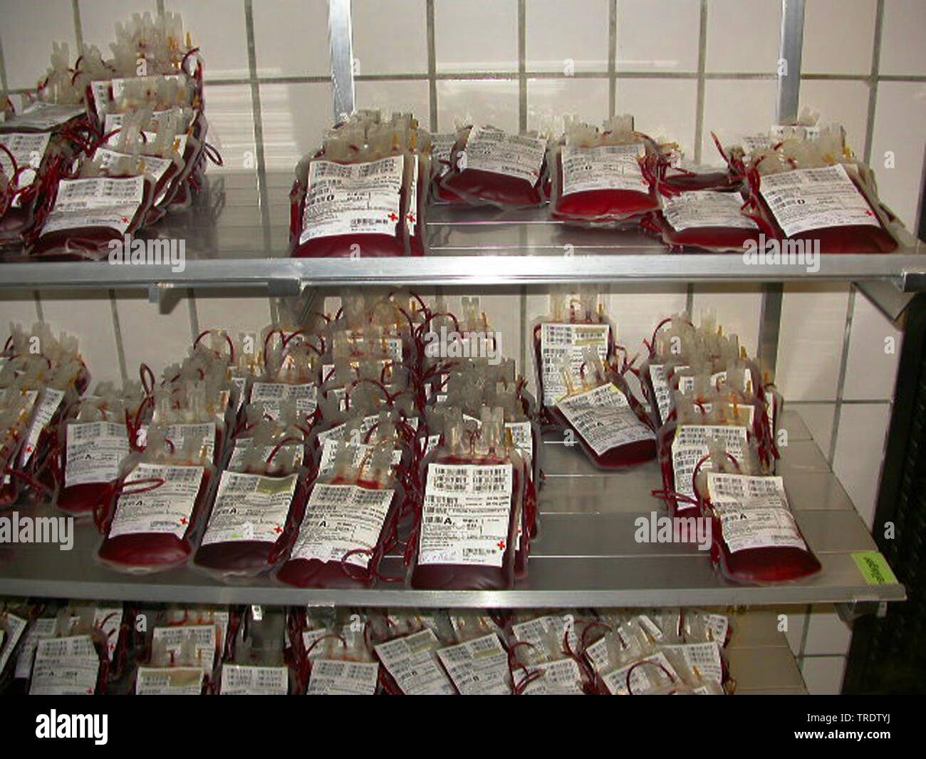 storage of bloos donations, Germany Stock Photo - Alamy
