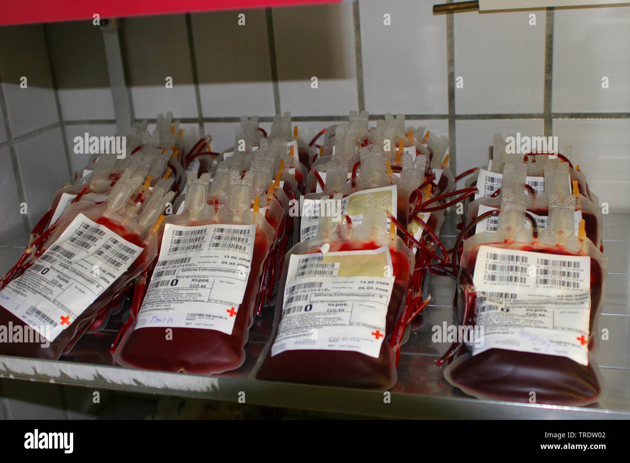 storage of bloos donations, Germany Stock Photo - Alamy