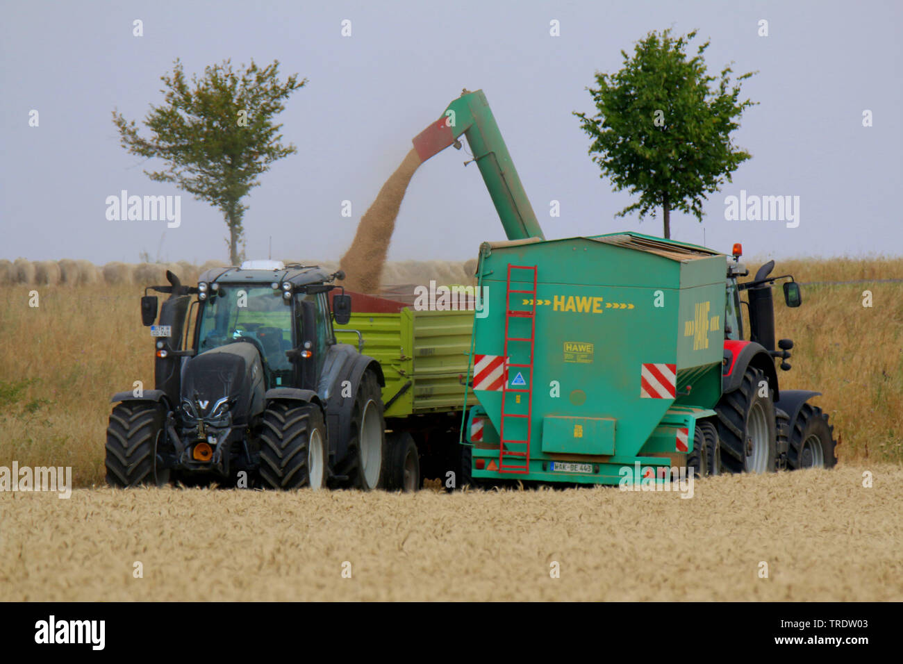 German crop hi-res stock photography and images - Alamy