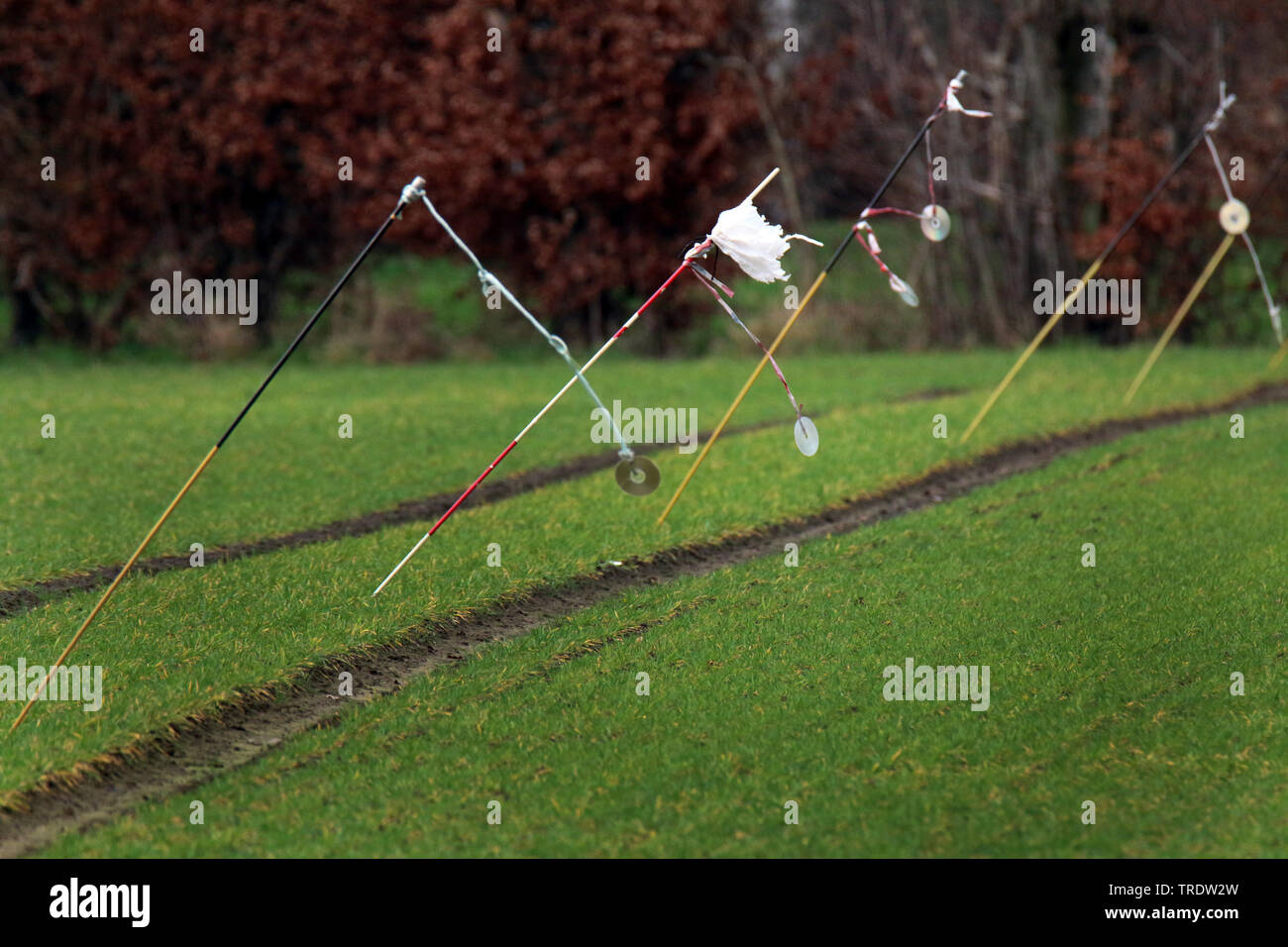 German scarecrow hi-res stock photography and images - Alamy