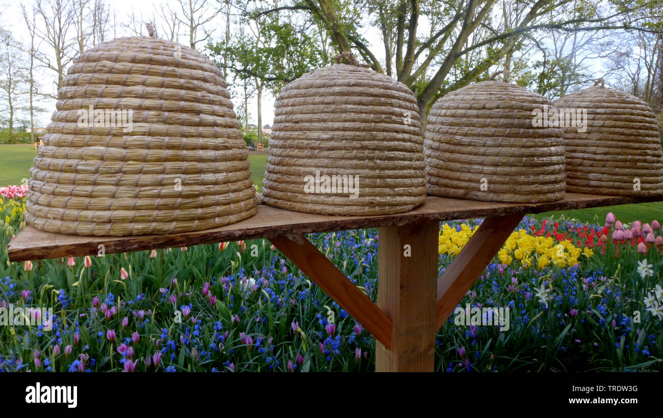 Bee skep hive hi-res stock photography and images - Alamy