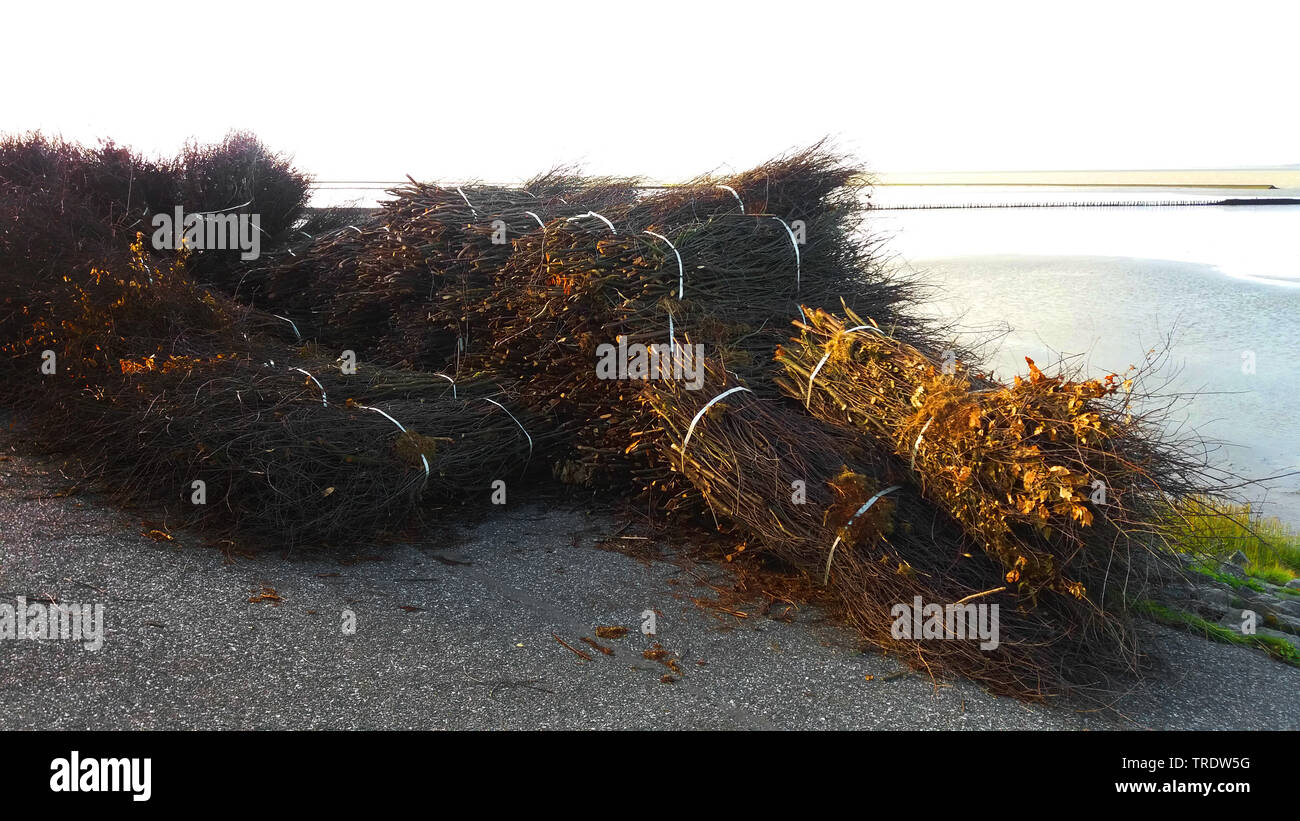 Bank stabilization hi-res stock photography and images - Alamy