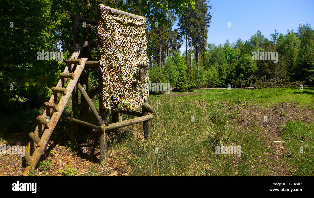 camouflaged raised hide at a clearing, Germany Stock Photo - Alamy