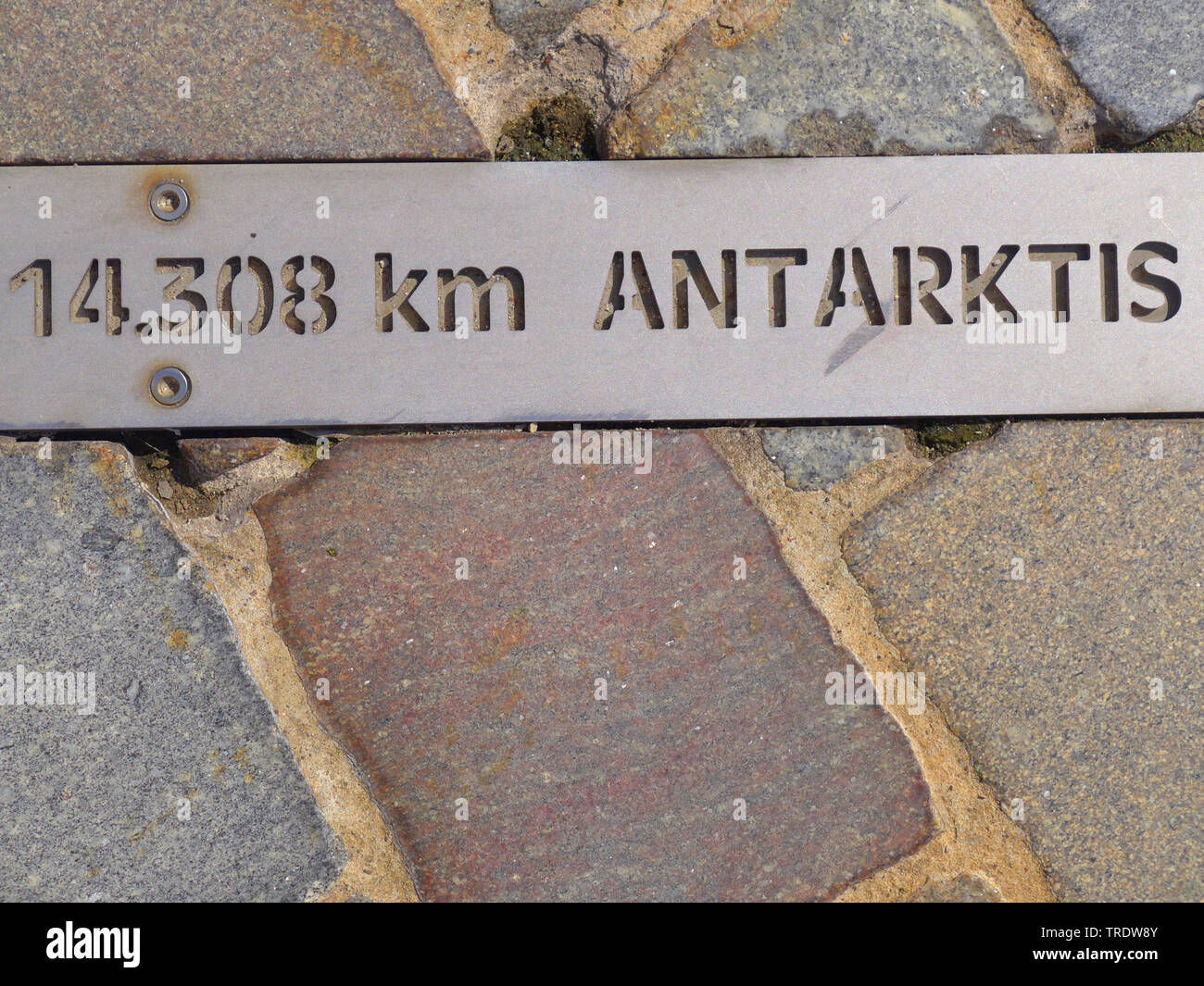 Alfred Wegener Grave