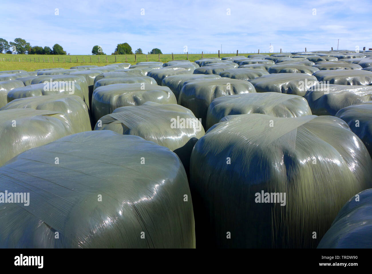 Silage making plants hi-res stock photography and images - Alamy