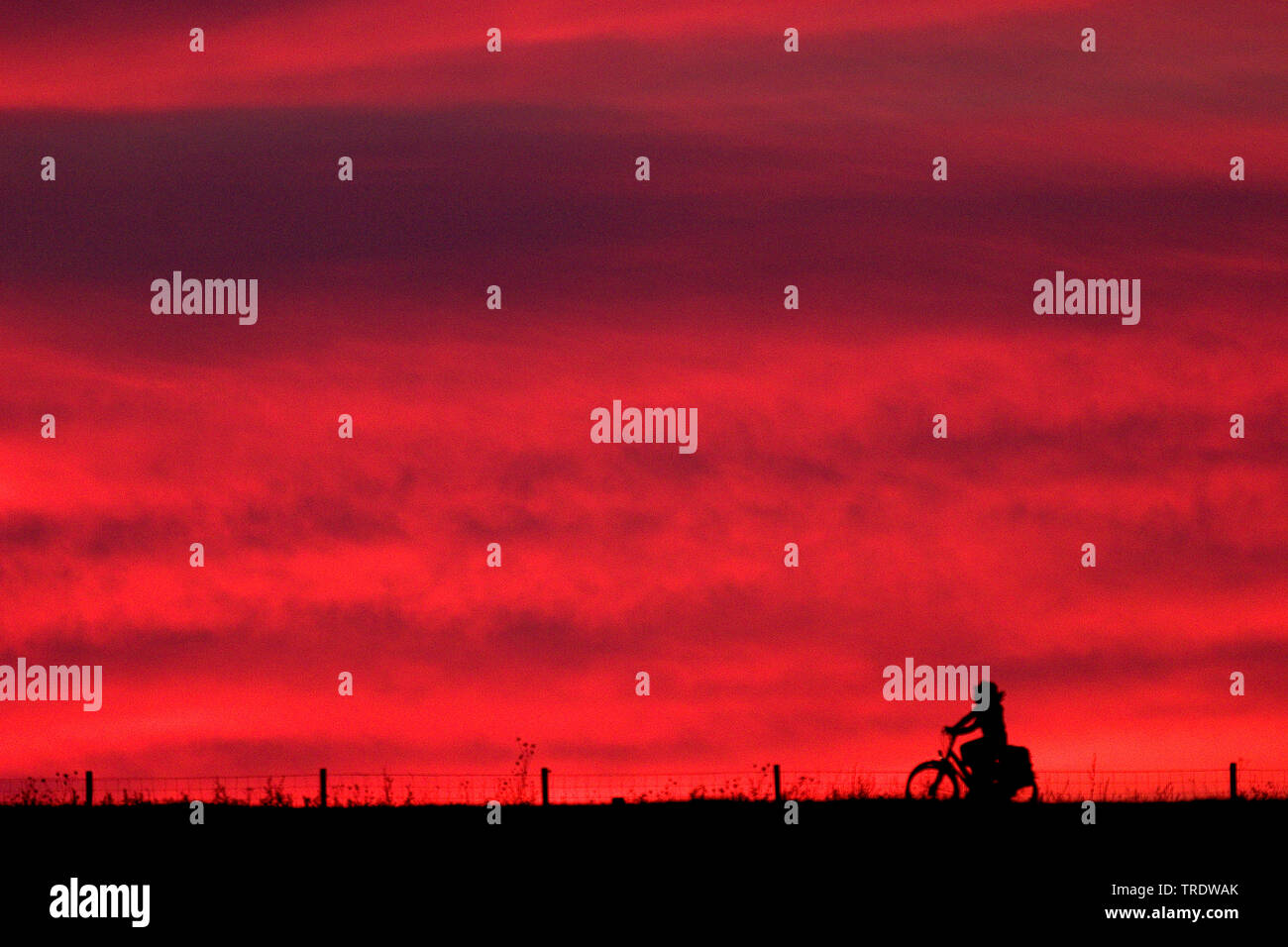 Cycling on a dike at sunset Stock Photo - Alamy