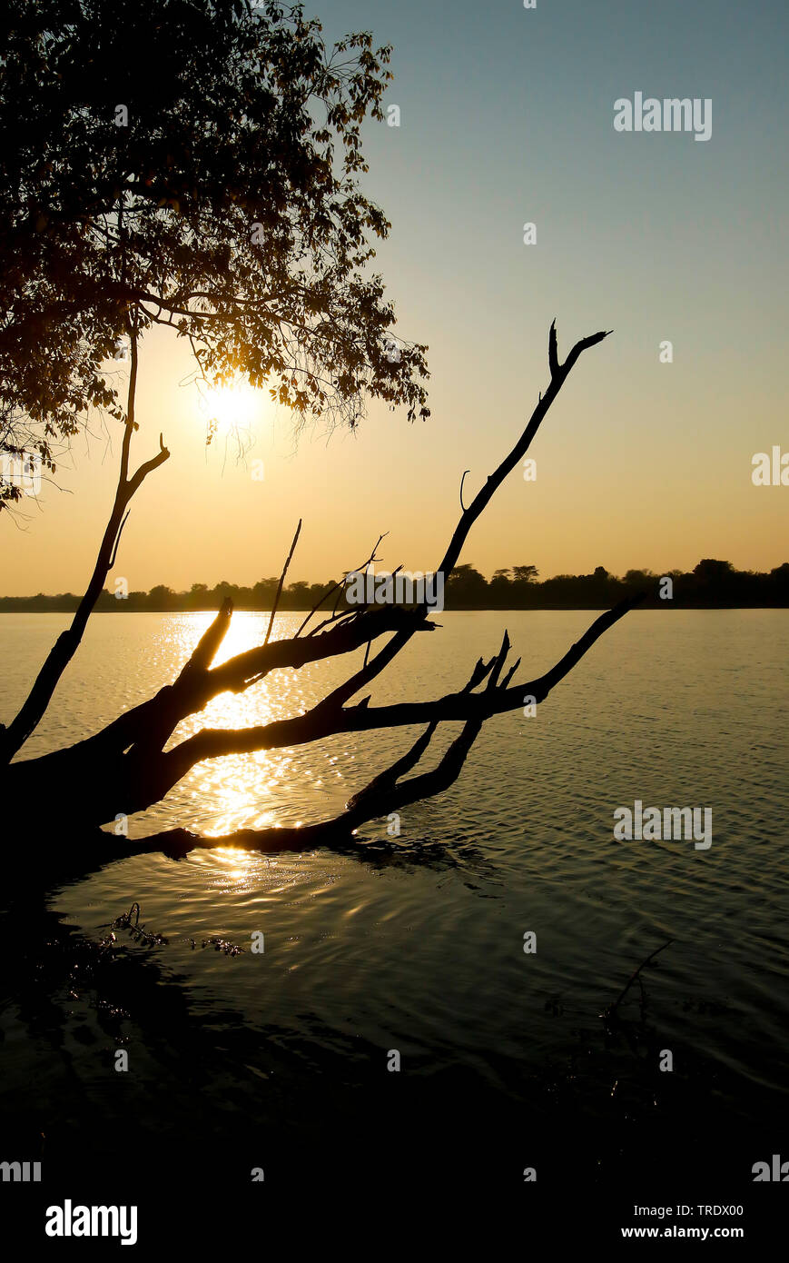 Kafue river hi-res stock photography and images - Alamy