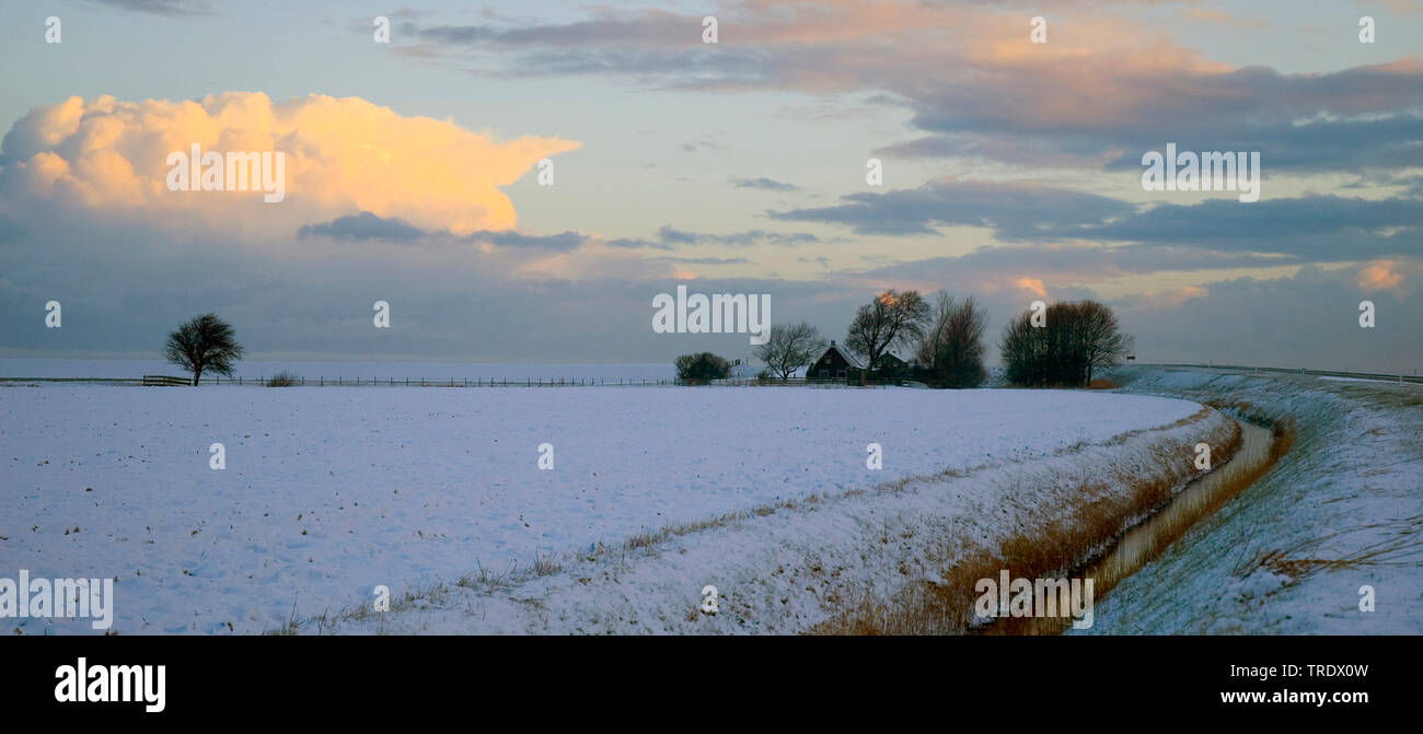 Dutch winter landscape hi-res stock photography and images - Alamy