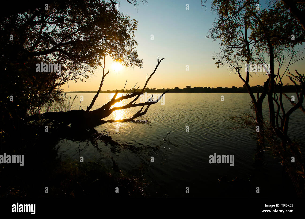 Kafue river. Kafue National Park. Zambia Stock Photo - Alamy