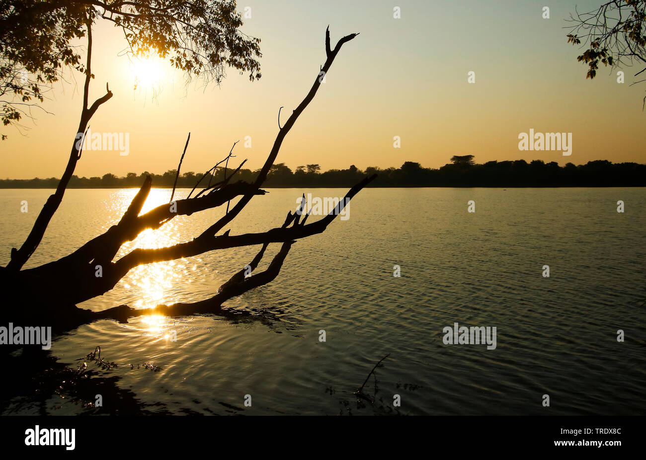 Kafue river. Kafue National Park. Zambia Stock Photo - Alamy