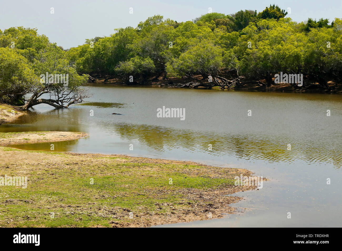 Kafue river. Kafue National Park. Zambia Stock Photo - Alamy