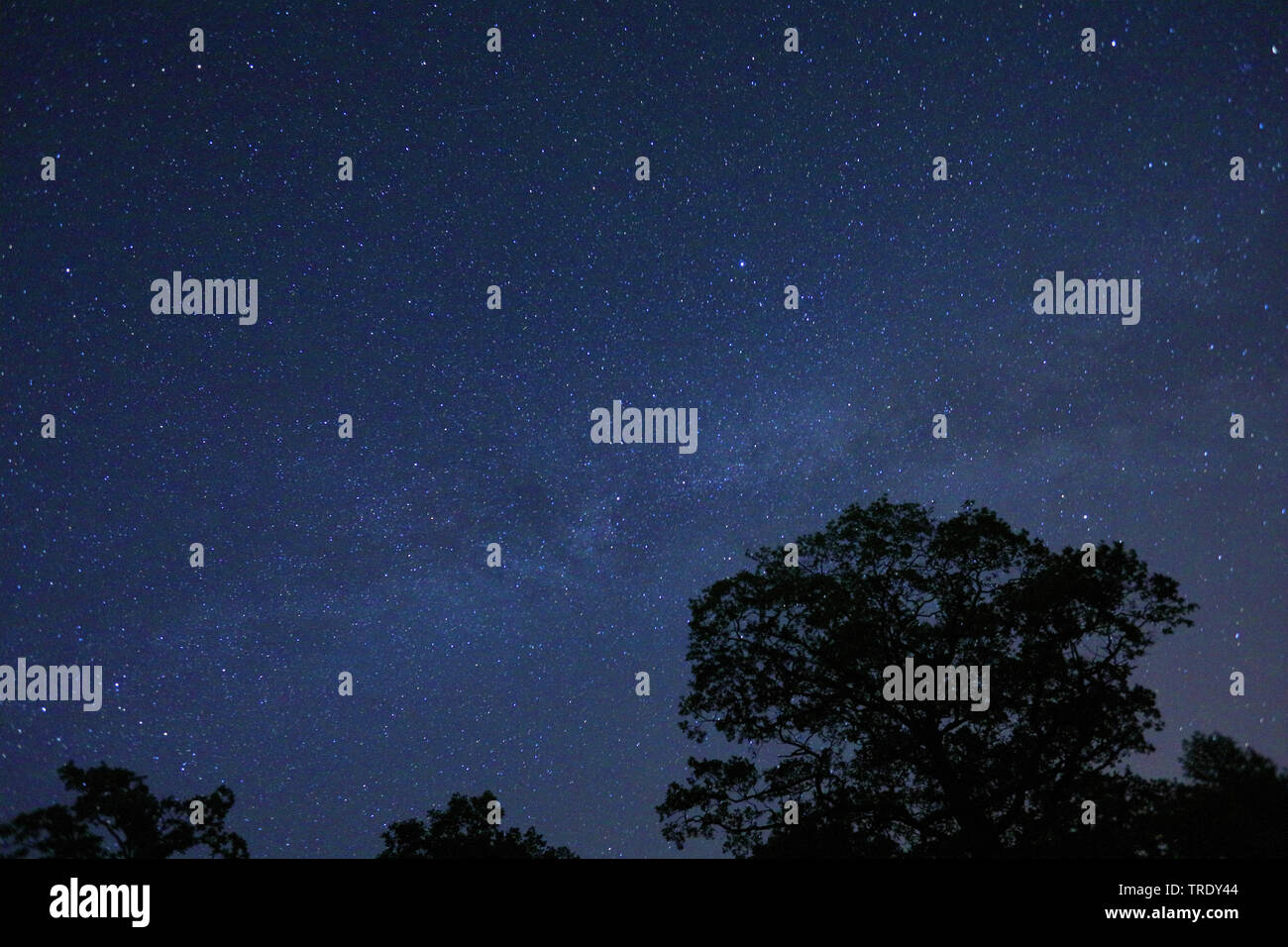 starry night on Kehrenberg, Steigerwald, Germany, Bavaria, Middle ...