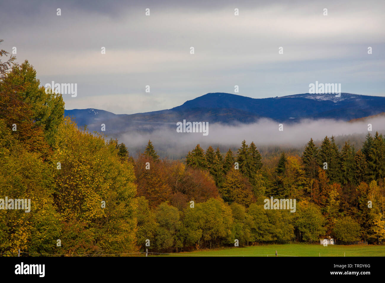 Bayerischer wald hi-res stock photography and images - Alamy