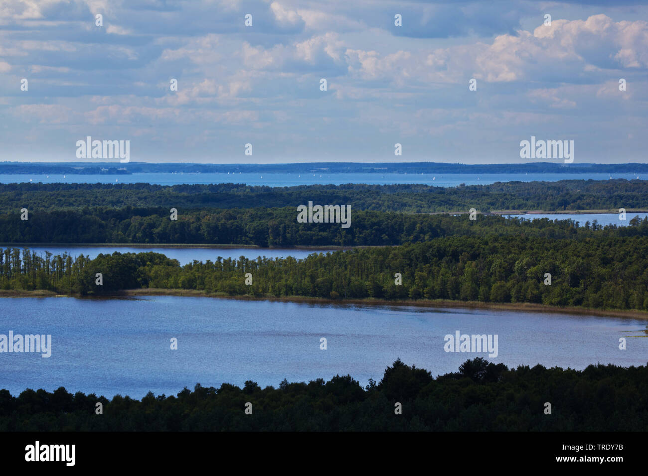 view from tower Kaeflingsbergturm to Mueritz National Park, Germany ...
