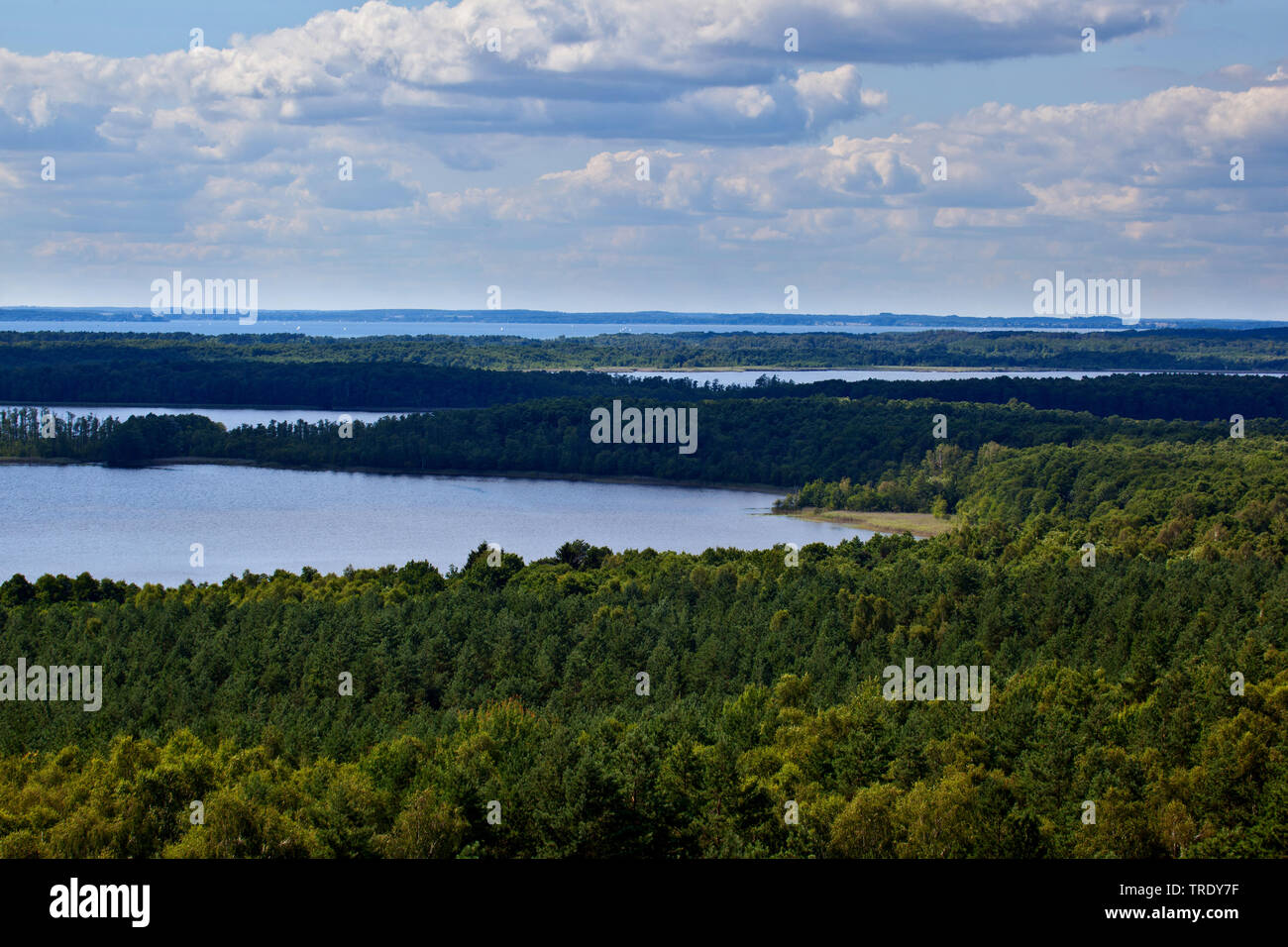 view from tower Kaeflingsbergturm to Mueritz National Park, Germany ...