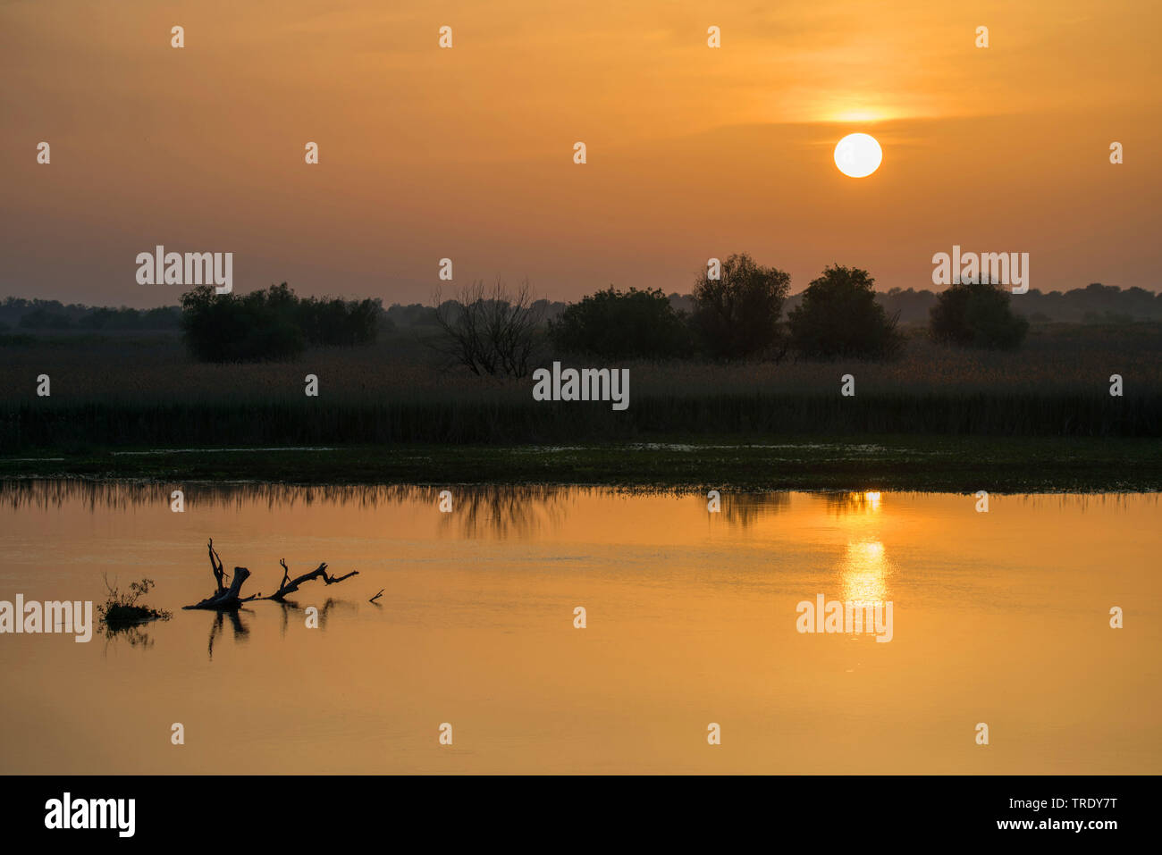 Danube basin hi-res stock photography and images - Alamy